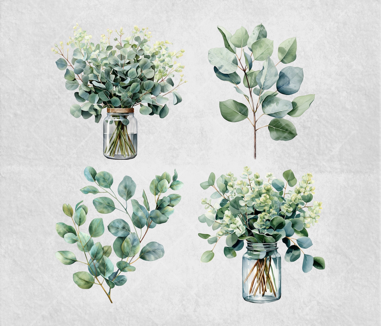 Watercolor Eucalyptus Clipart Bundle: Frames & Borders (PNG) - Etsy