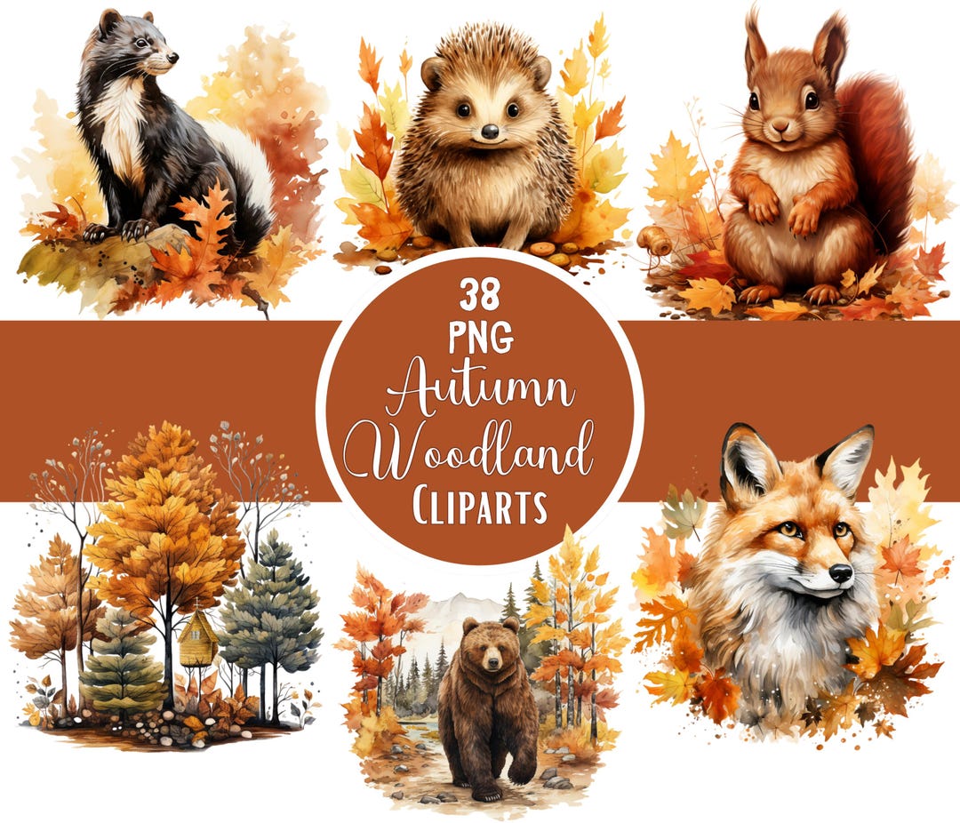 Watercolor Autumn Woodland Clipart Bundle Fall Animal Sublimation ...