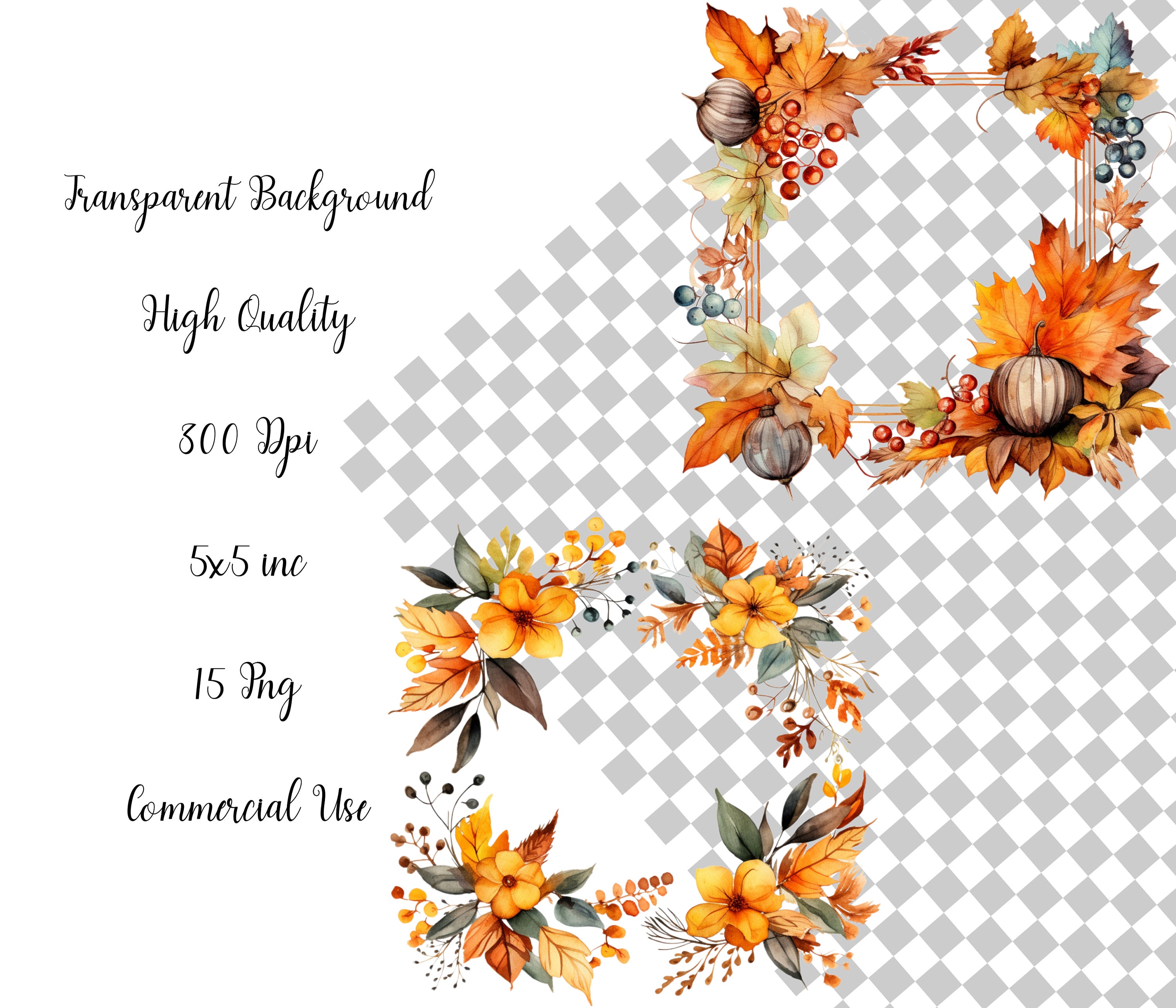 Watercolor Fall Frame Clipart: Pumpkin & Floral PNG Borders (digital ...