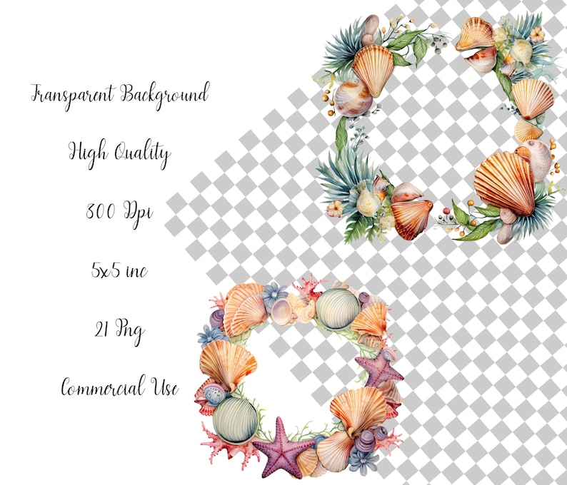 Seashells Watercolor Summer Frames Beach Crafts Digital Frames Png ...