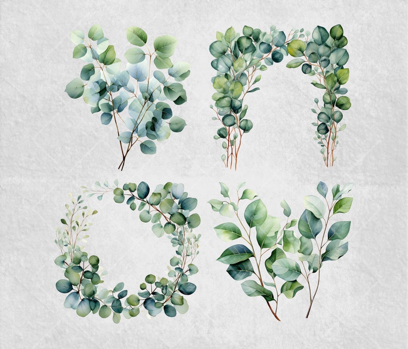 Watercolor Eucalyptus Clipart Bundle: Frames & Borders (PNG) - Etsy