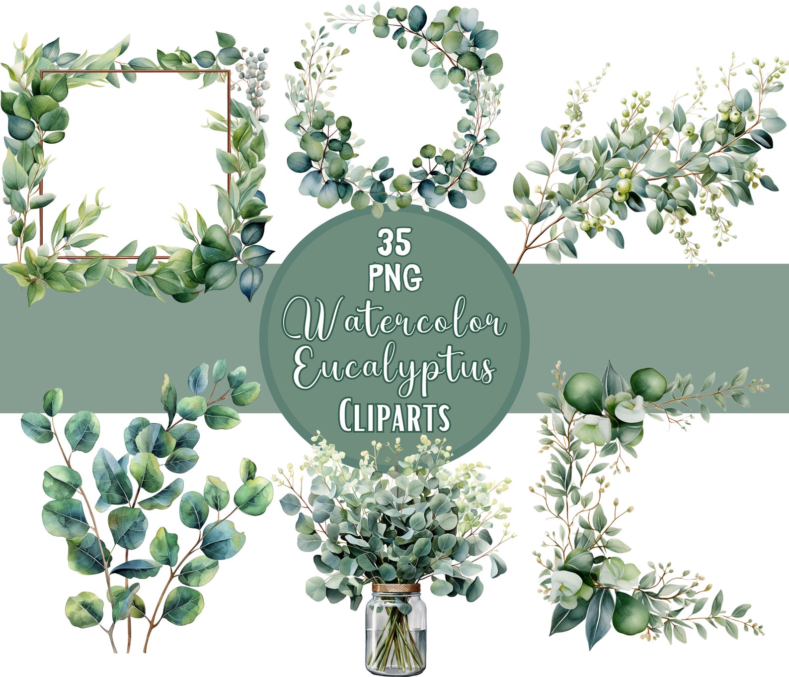 Watercolor Eucalyptus Clipart Bundle: Frames & Borders (PNG) - Etsy