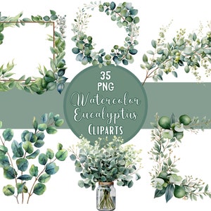 Watercolor Eucalyptus Clipart Bundle: Frames & Borders (PNG) - Etsy