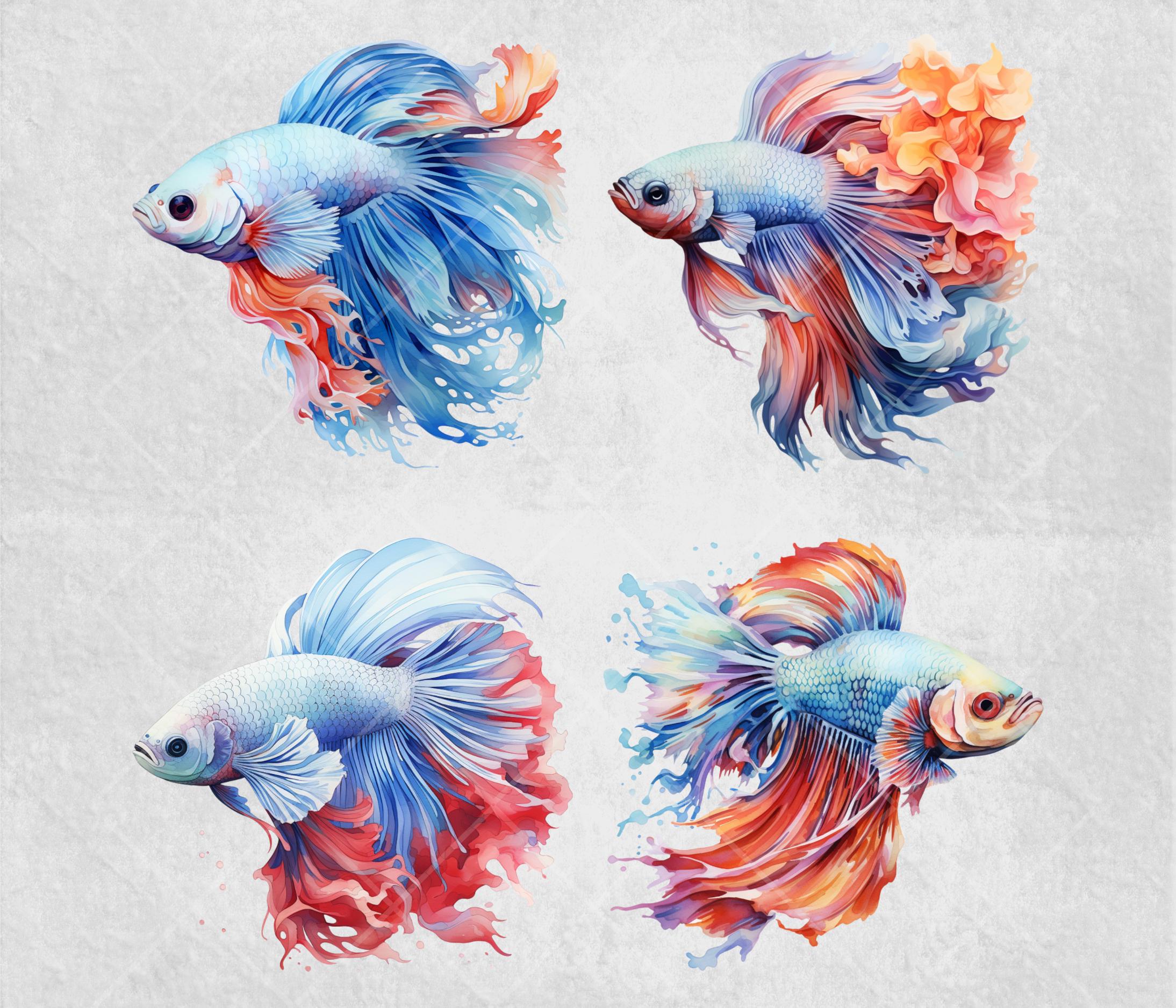 Watercolor Betta Fish Clipart Bundle: Exotic Aquarium PNG (digital ...