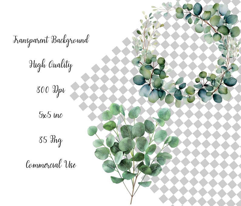 Watercolor Eucalyptus Clipart Bundle: Frames & Borders (PNG) - Etsy