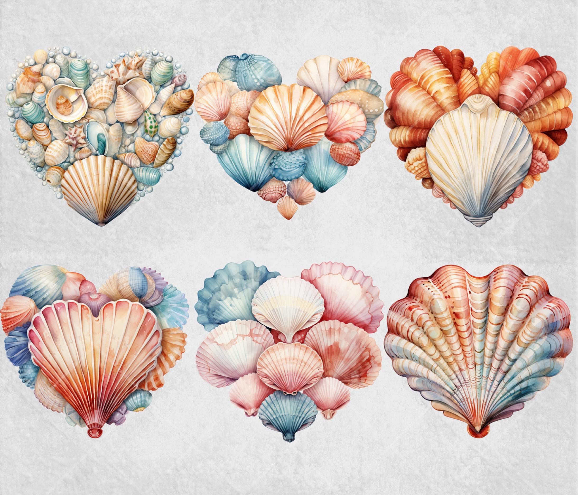 Watercolor Seashell Clipart Bundle Heart Shaped Seashells Collection ...