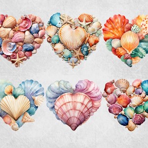 Watercolor Seashell Clipart Bundle Heart Shaped Seashells Collection ...