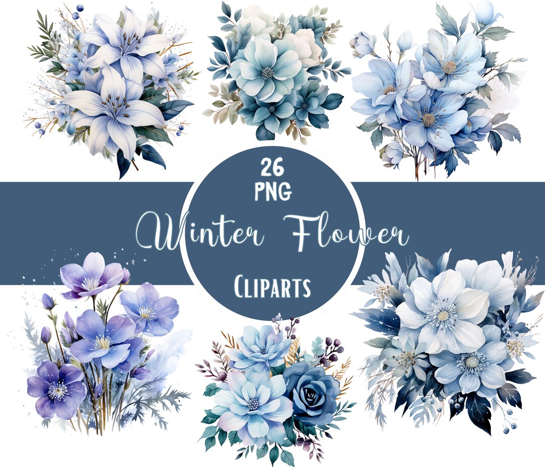 Watercolor Winter Flower Clipart Bundle: Blue Roses PNG (digital ...