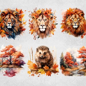 Watercolor Autumn Woodland Clipart Bundle Fall Animal Sublimation ...
