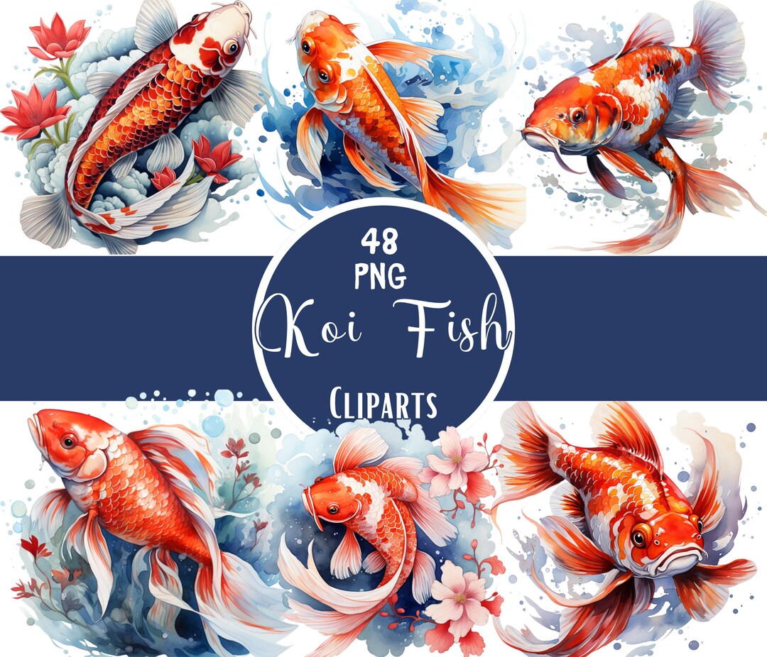 Watercolor Koi Fish Clipart Bundle: Japanese PNG Images for Crafts - Etsy