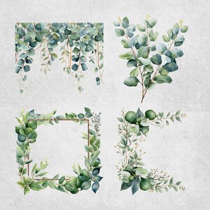 Watercolor Eucalyptus Clipart Bundle: Frames & Borders (PNG) - Etsy