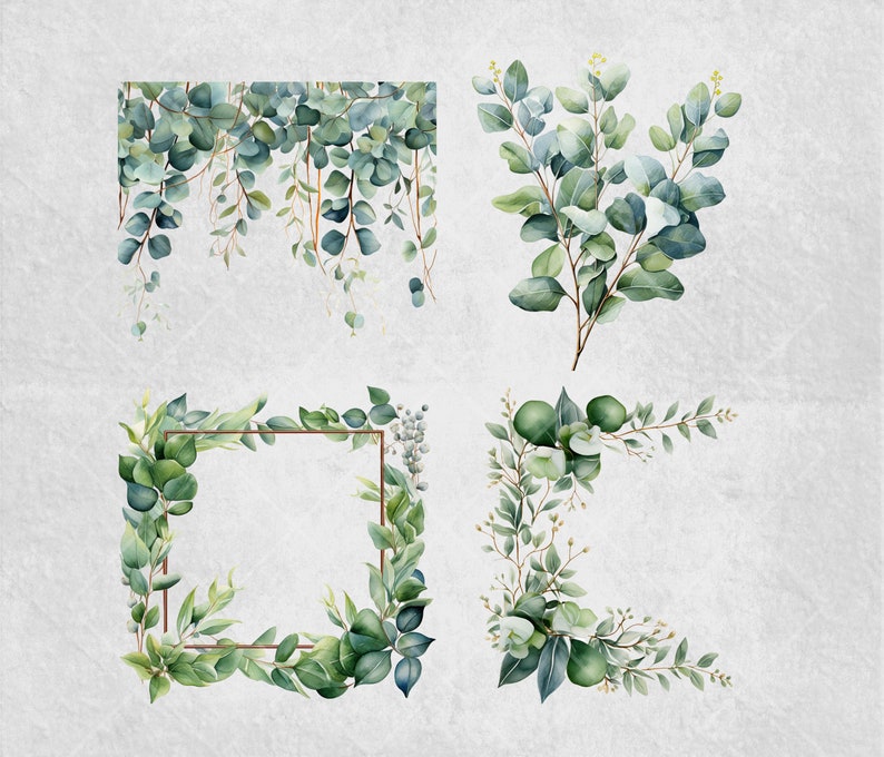Watercolor Eucalyptus Clipart Bundle: Frames & Borders (PNG) - Etsy
