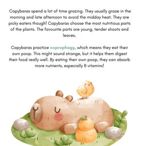 Capybara Unit Study, Capybaras Worksheets, Education - Etsy