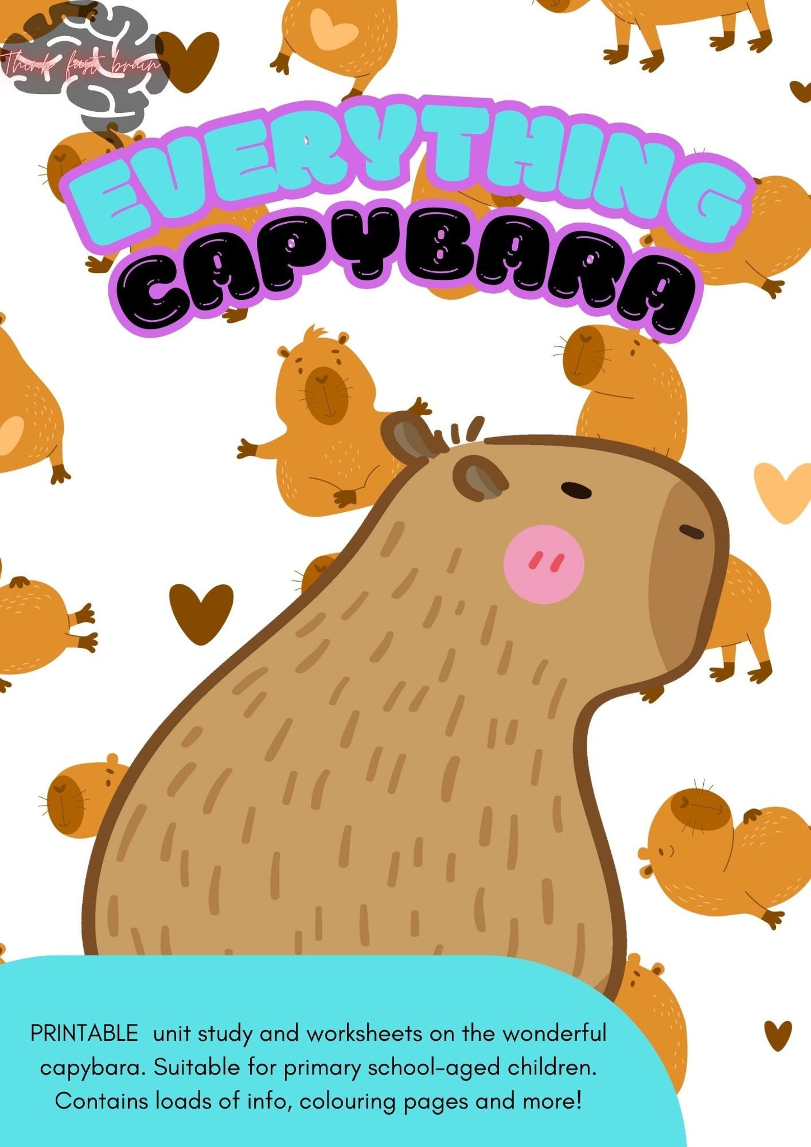 Capybara Unit Study, Capybaras Worksheets, Education - Etsy