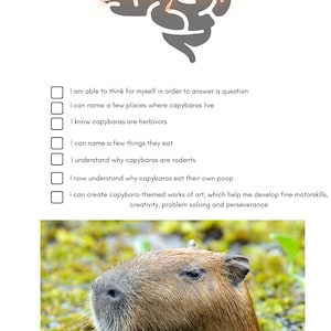 Capybara Unit Study, Capybaras Worksheets, Education - Etsy