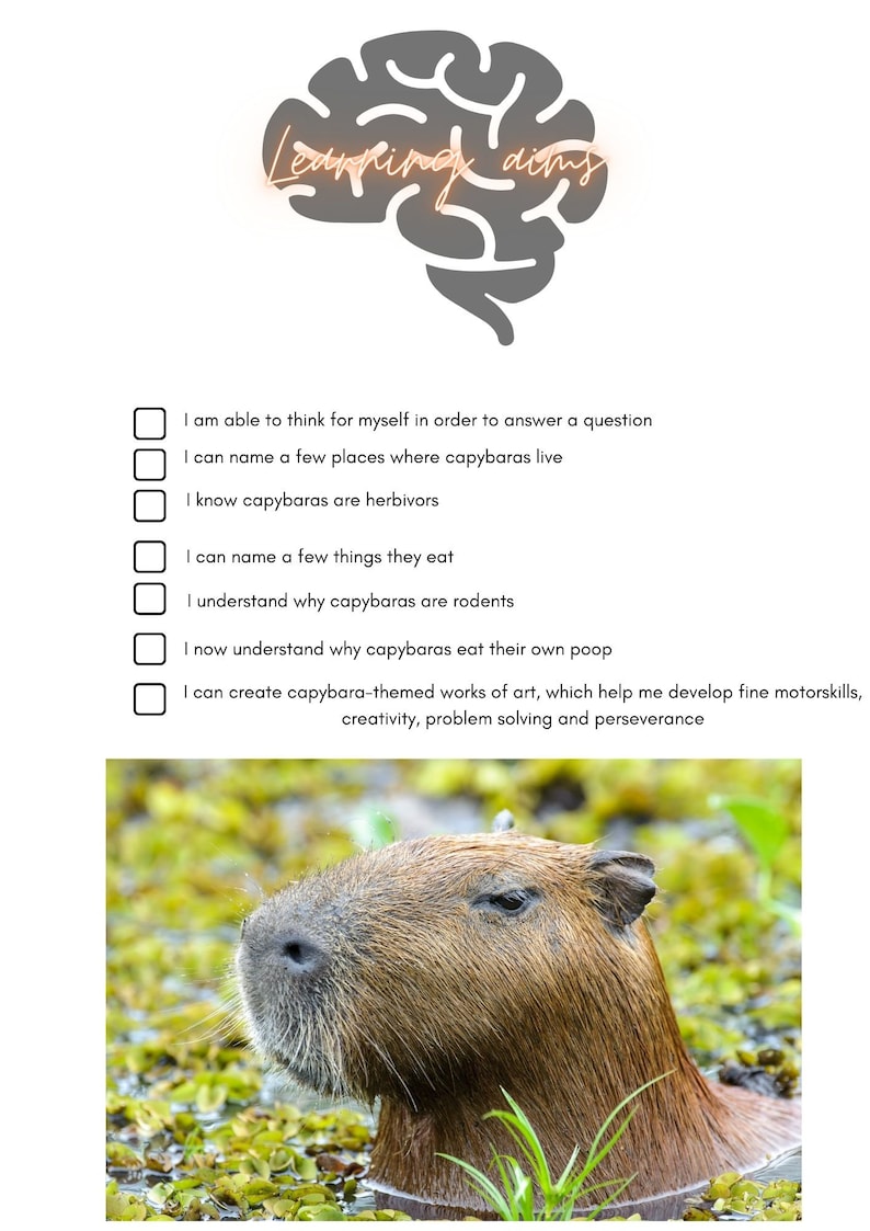 Capybara Unit Study, Capybaras Worksheets, Education - Etsy