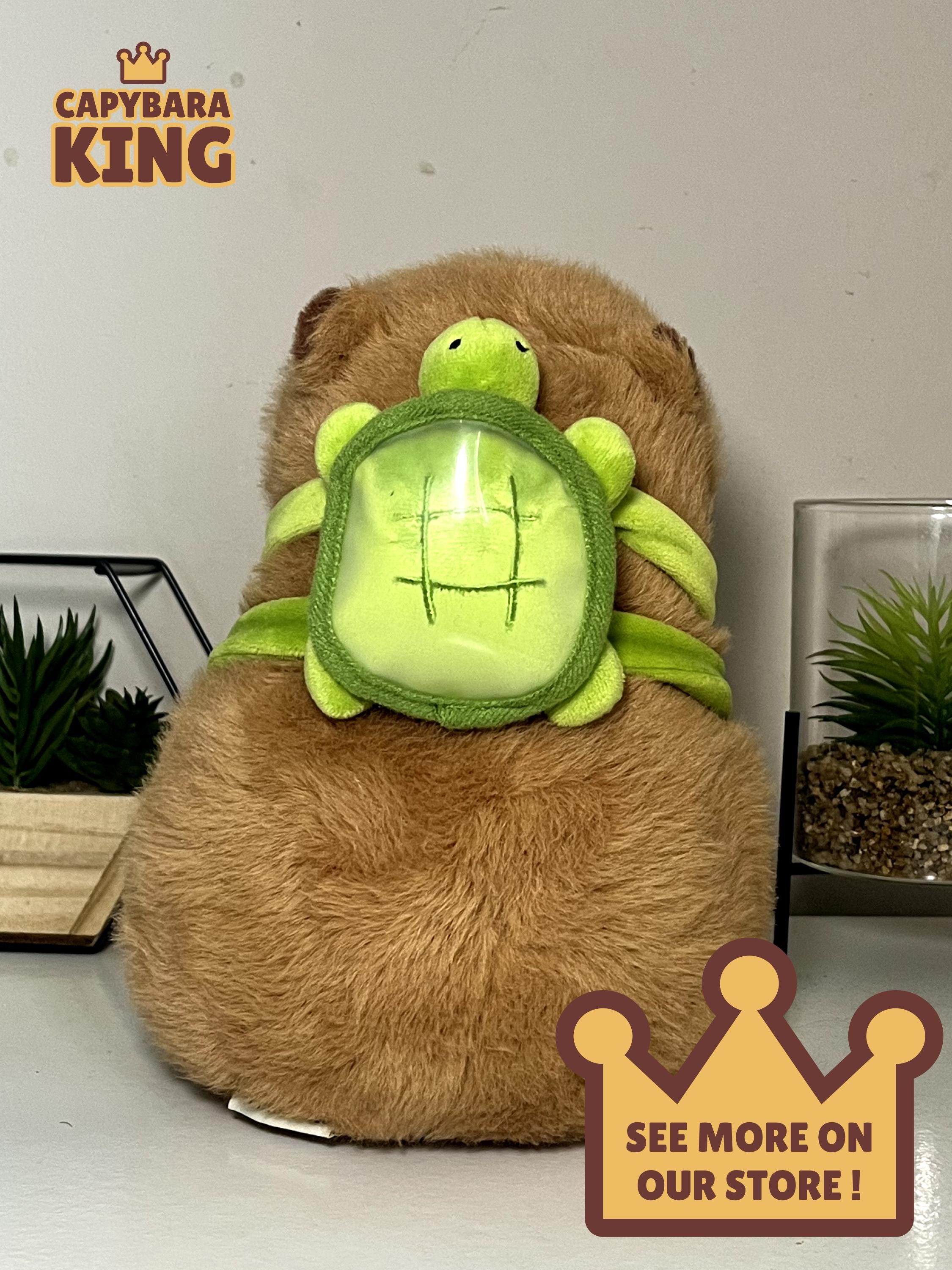 Cute Turtle Capybara Teddy Plushie, Cuddly Squishy Teddy Bear for Kids ...