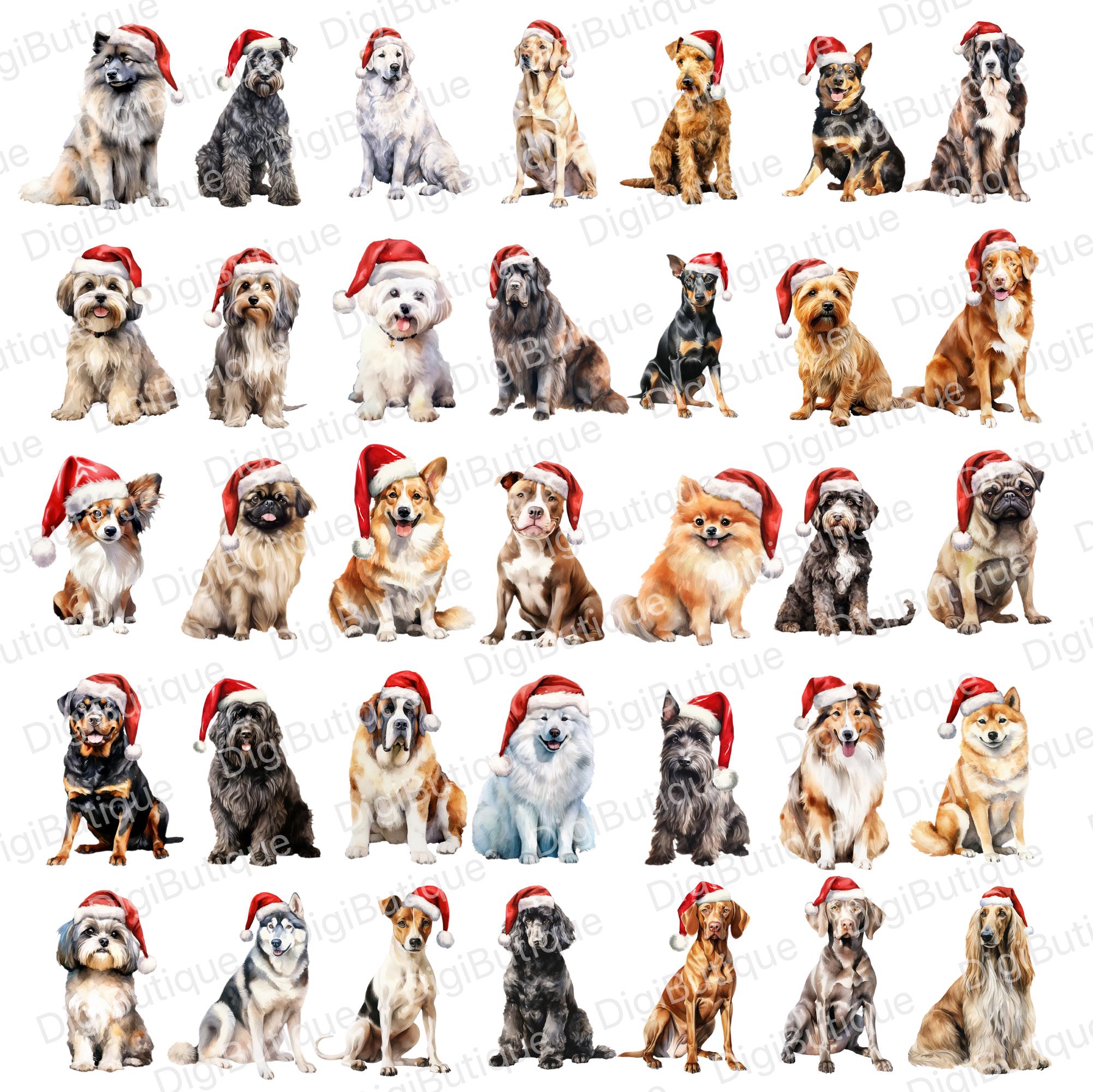 Christmas Dogs, 120+ Santa Dogs PNG Clipart Bundle, Christmas Dog ...
