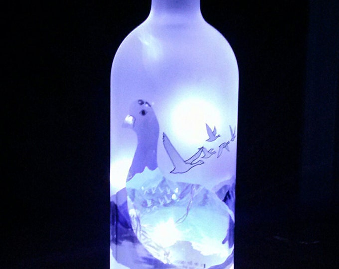 Grey Goose Bottle Light - Etsy