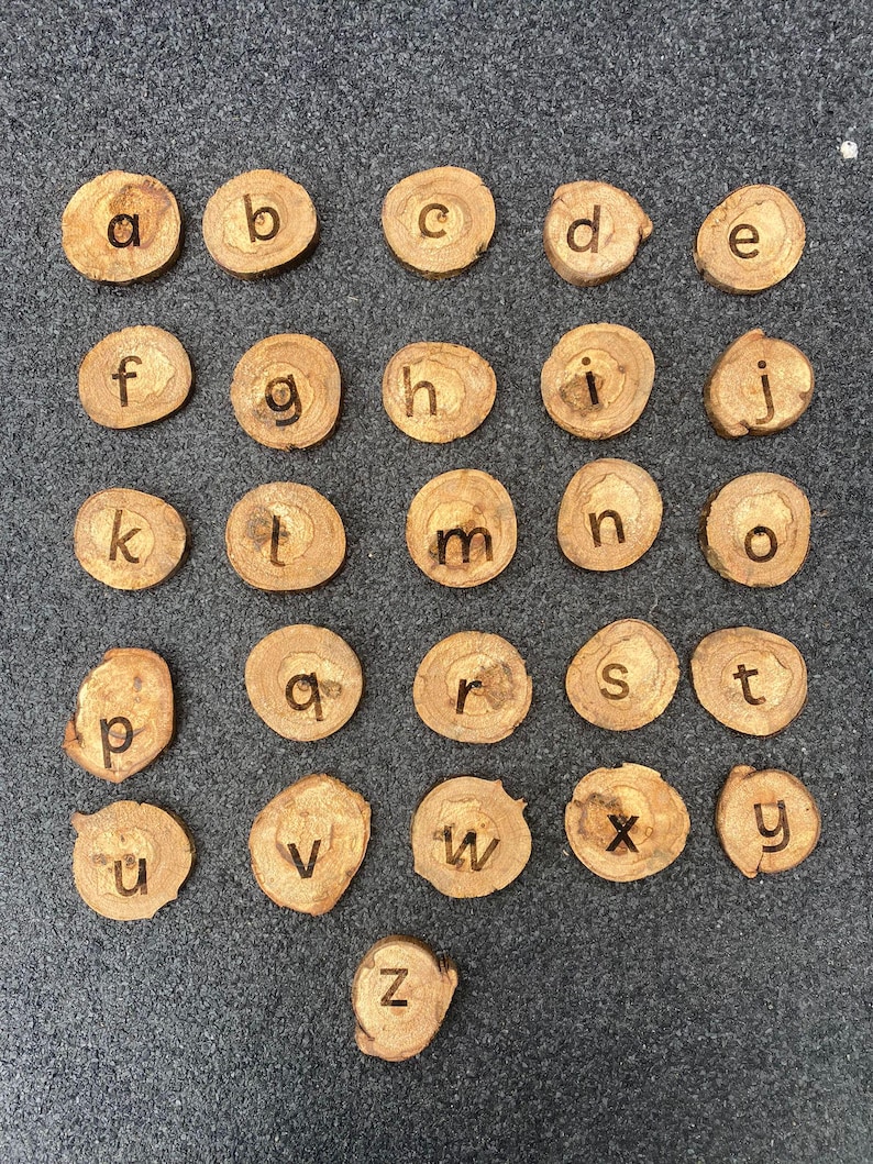 Alphabet Wood Cookies - Alphabet Capitals and Lowercase - Wooden Log ...