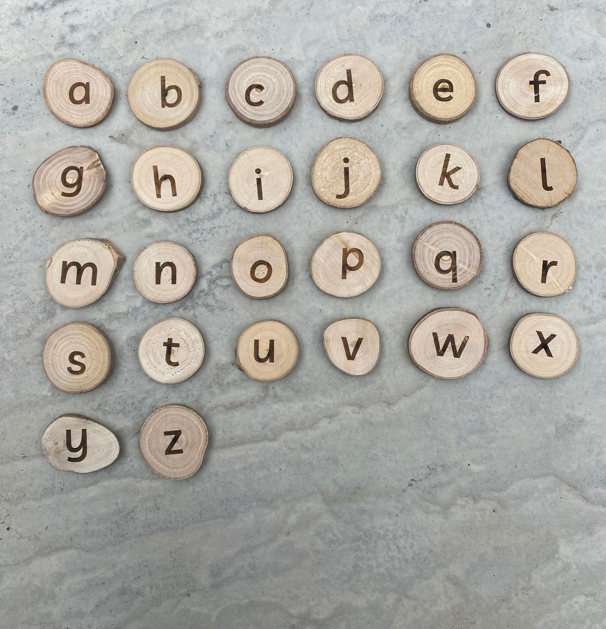 Alphabet Wood Cookies - Alphabet Capitals and Lowercase - Wooden Log ...