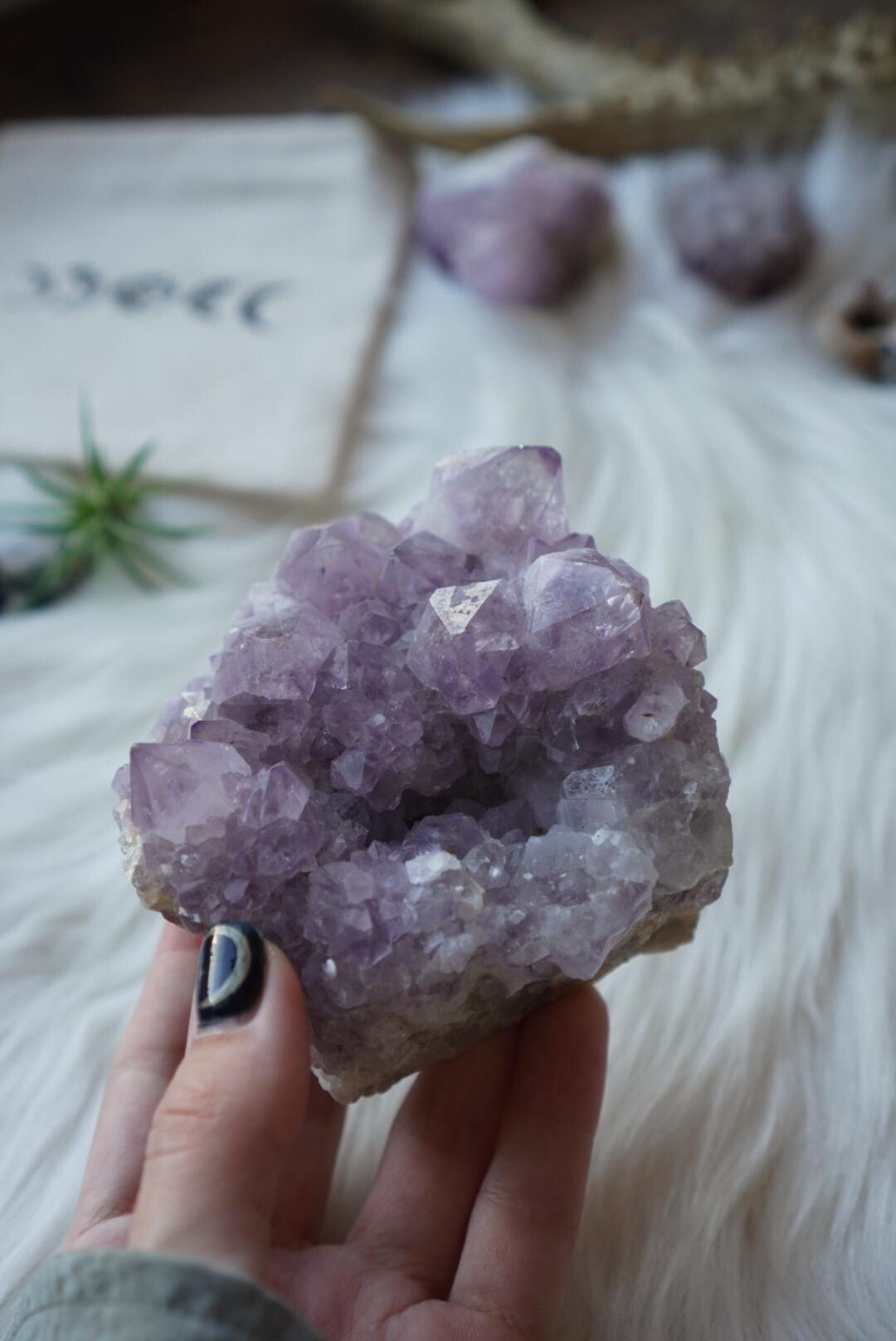 Natural Spirit Cactus Amethyst | Raw Crystal Cluster | Unique Crystal ...