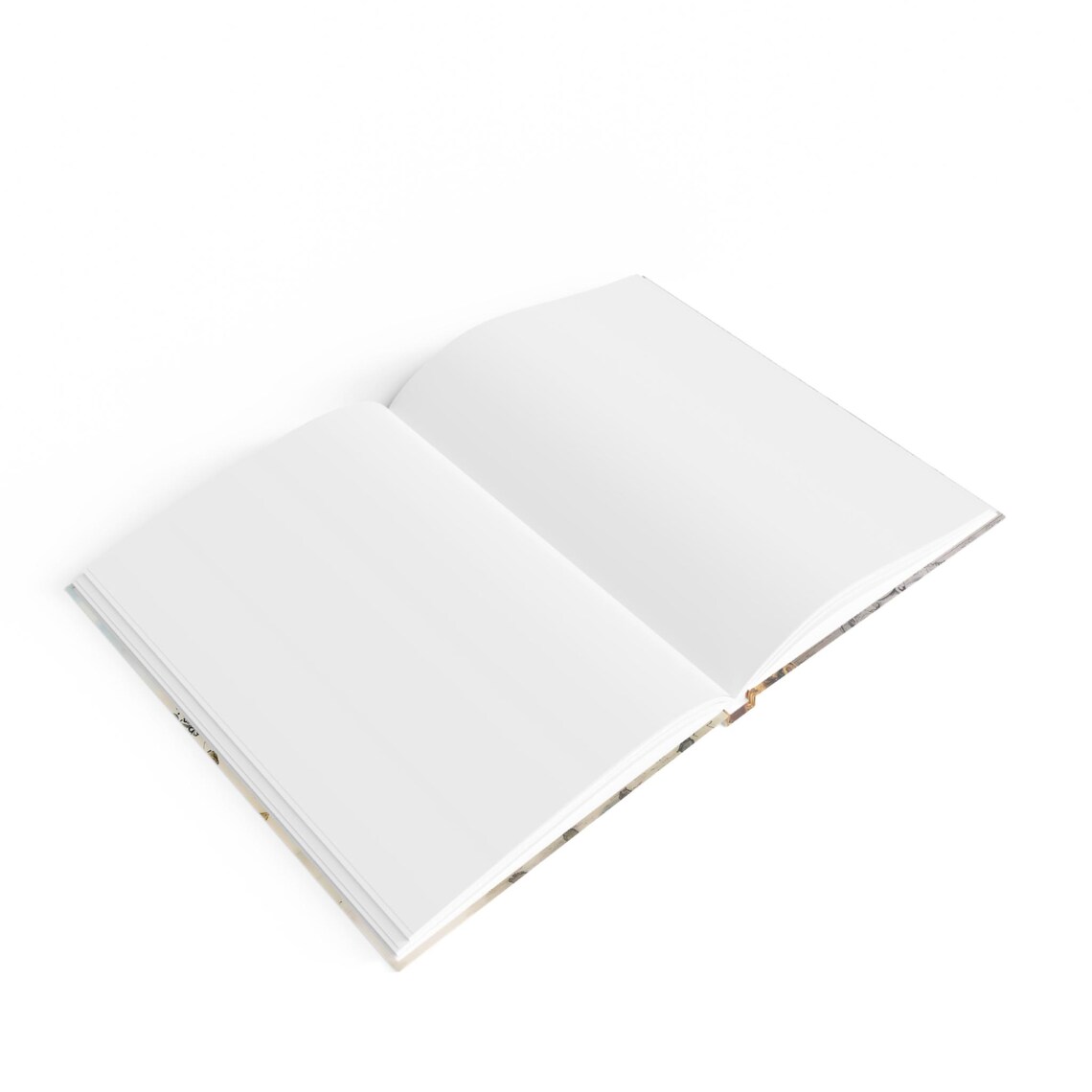 The Three Musketeers, First Edition Reproduction SMALLER Journal BLANK ...