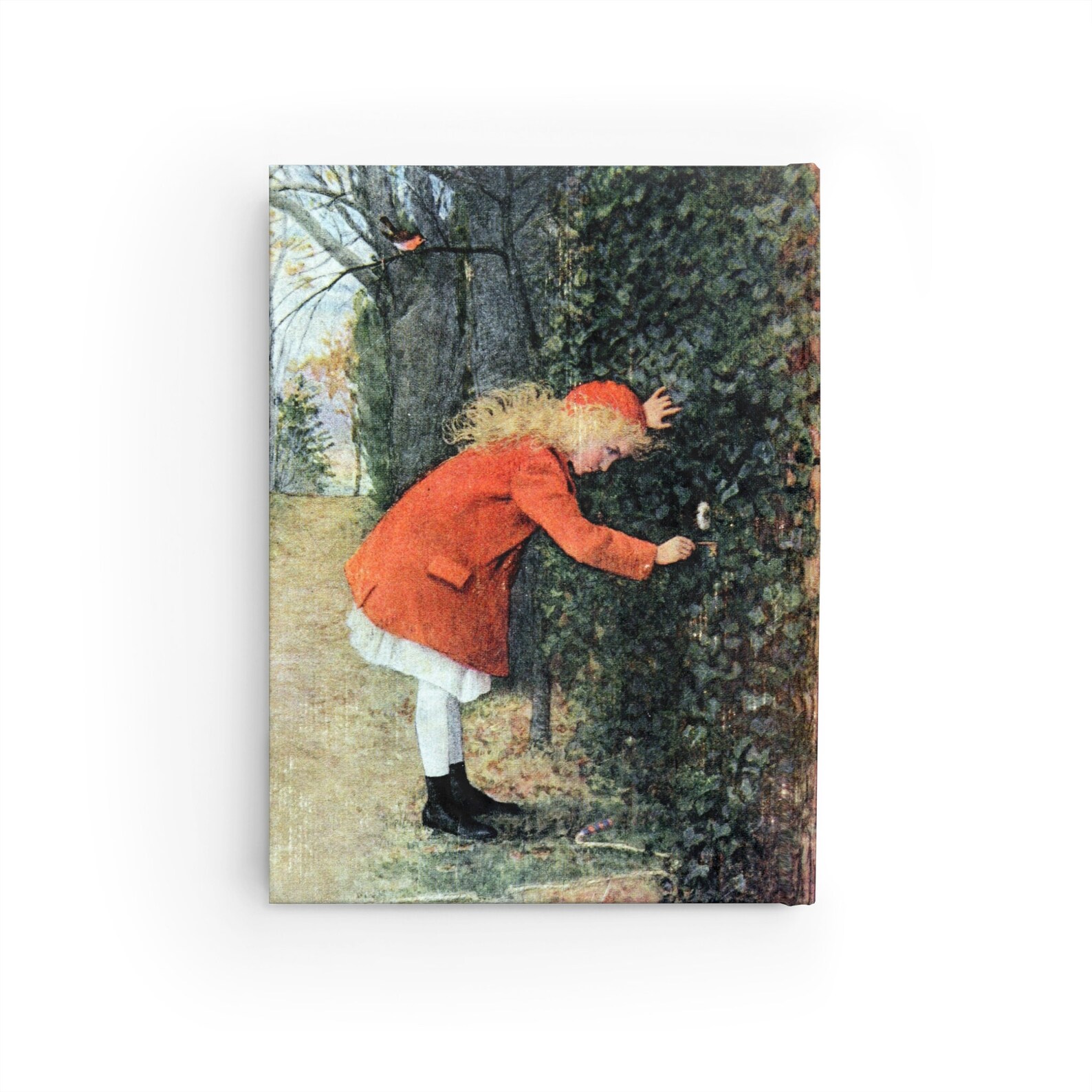 The Secret Garden, First Edition Reproduction SMALLER Journal - BLANK ...