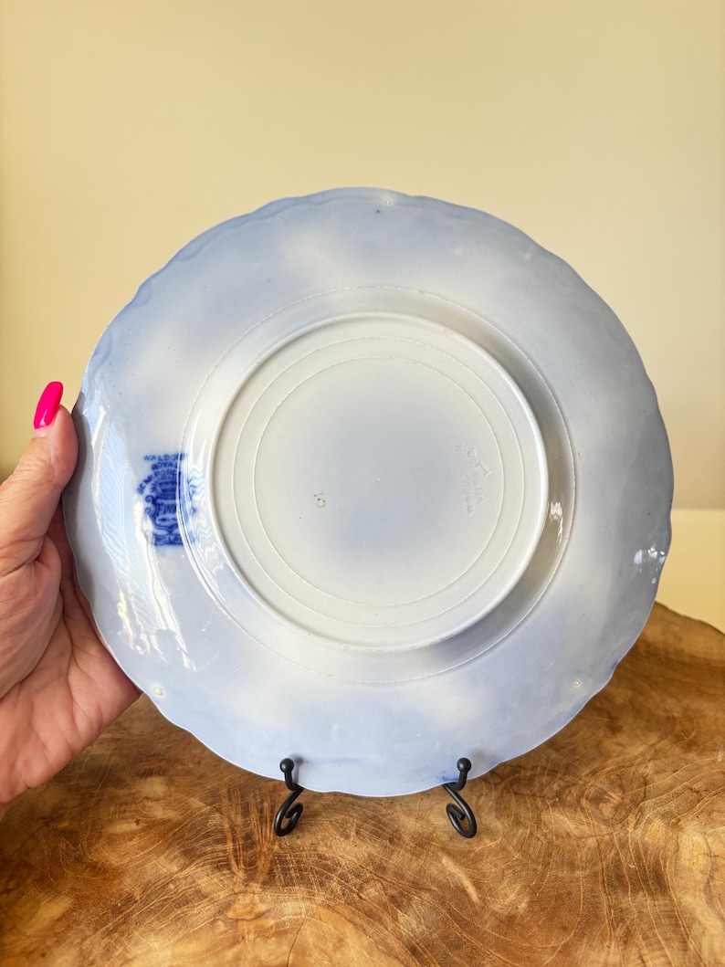 Rare C1891 Antique FWW - F W Winkle Flow Blue “waldorf” Pattern Semi ...