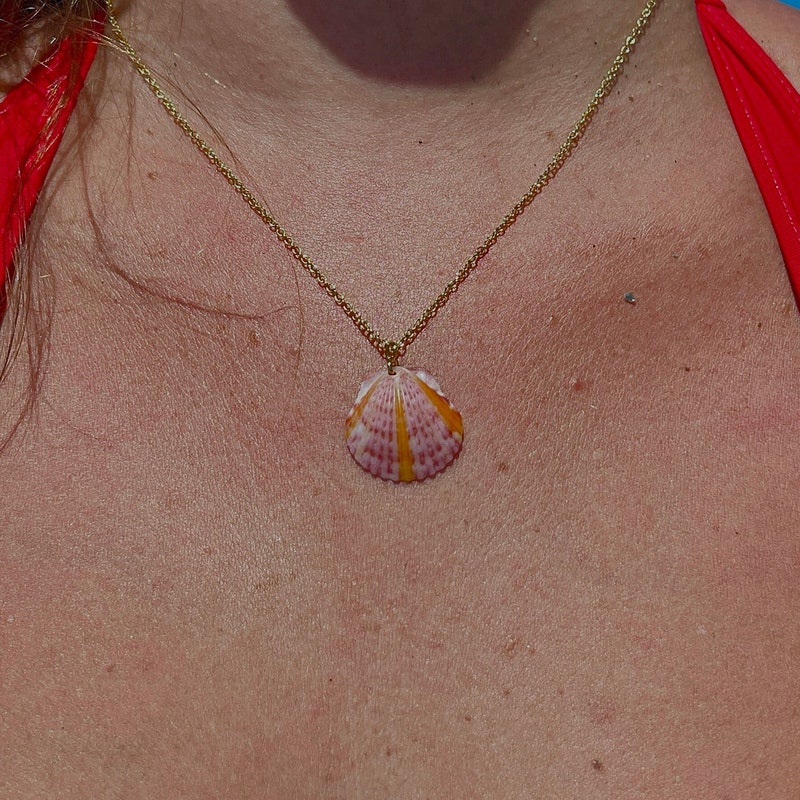 Scallop Shell Necklace - Etsy