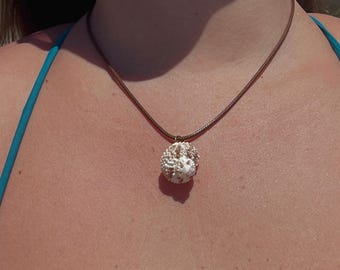 Moon Snail Shell Necklace - Etsy