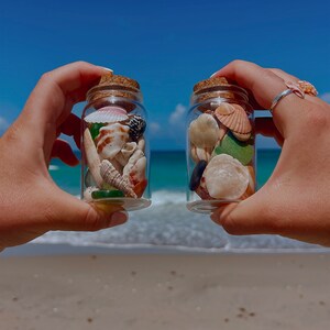 Seashell Decor Jar - Etsy