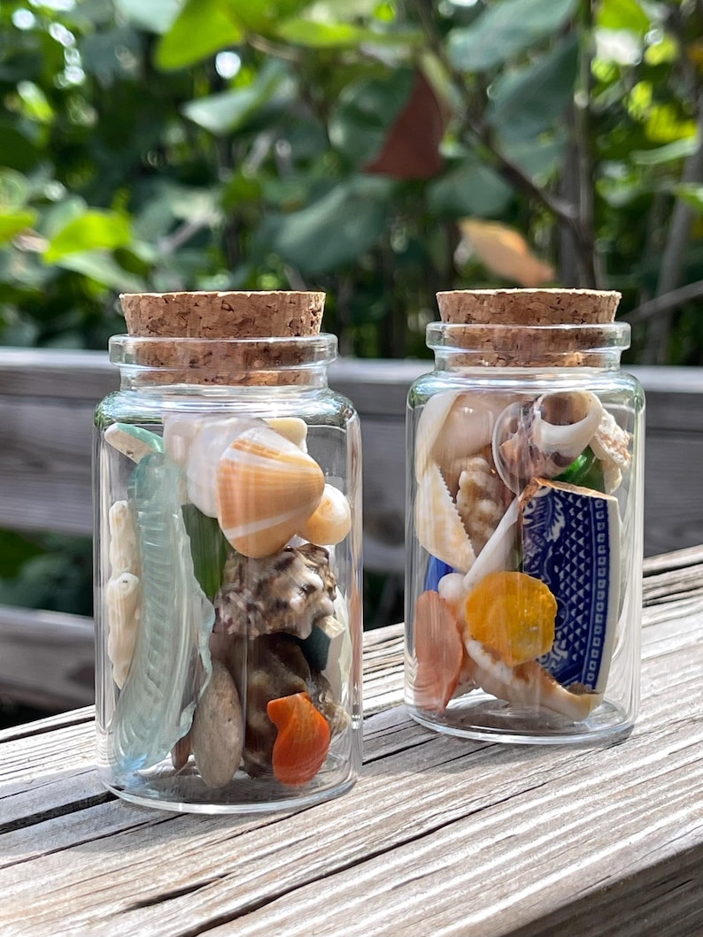 Seashell Decor Jar - Etsy