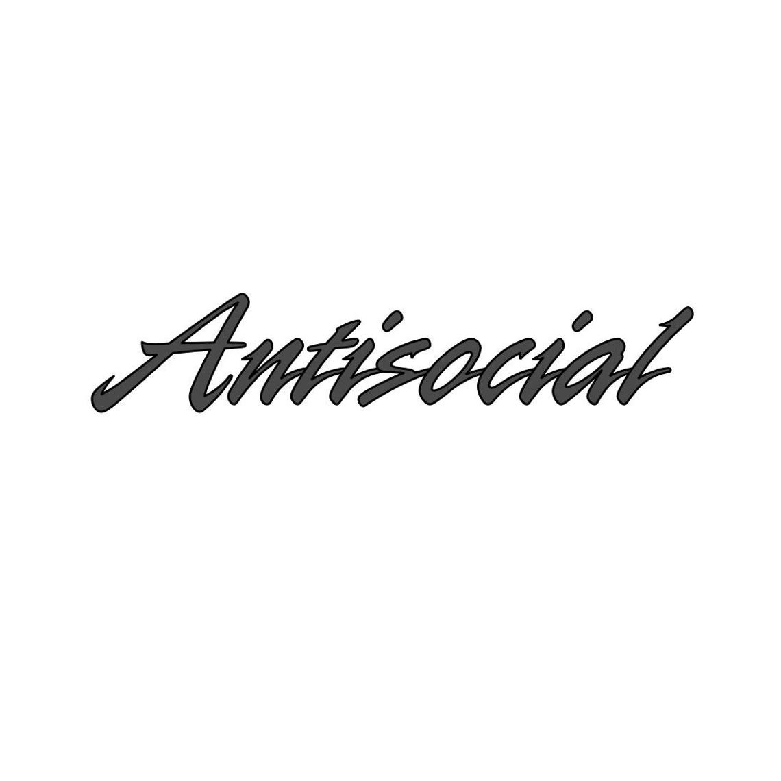 Antisocial Vinyl Decal Banner - Etsy