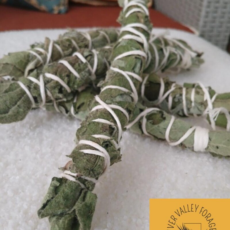 Mullein Plant - Etsy