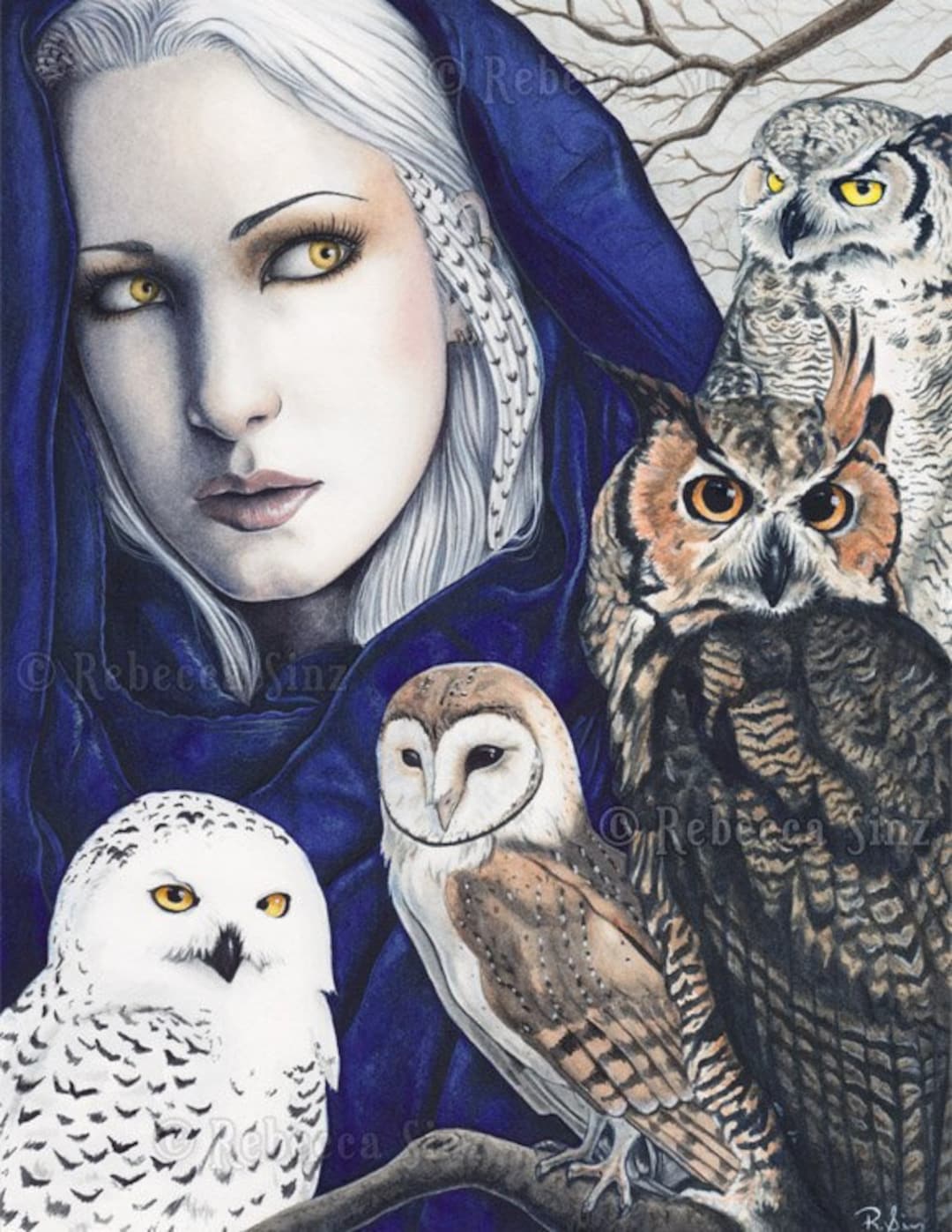 Wisdom PRINT Woman Shaman OWLS Birds Fantasy Art Blue Snowy Owl Barn ...