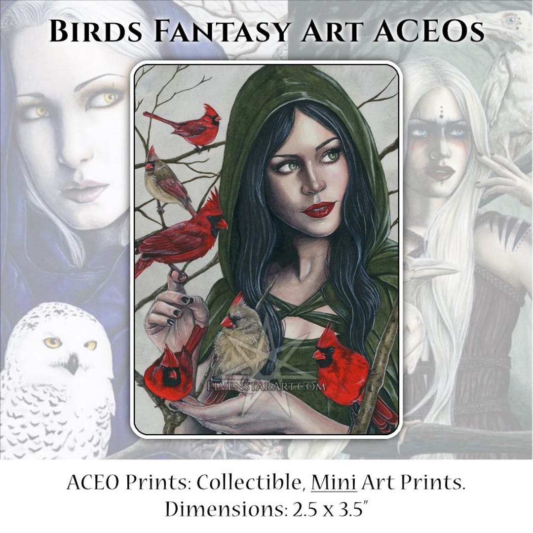 Fantasy Birds Art ACEO Prints Cardinals Owls Barn Owl Great Horned ...