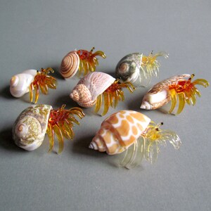 Tiny Miniature Sea Shell Seashell Hermit Crab Beach Animals Blown Glass ...