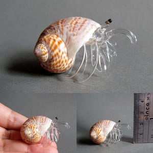 Tiny Miniature Sea Shell Seashell Hermit Crab Beach Animals Blown Glass ...