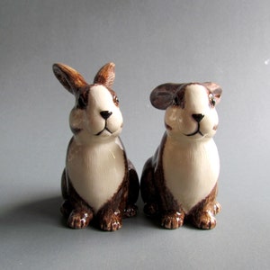 Salt and Pepper Shakers Rabbits Bunnies Salt & Pepper Set Animal Theme ...