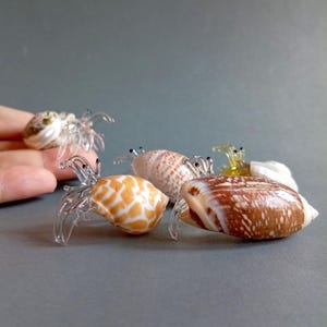 Tiny Miniature Sea Shell Seashell Hermit Crab Beach Animals Blown Glass ...