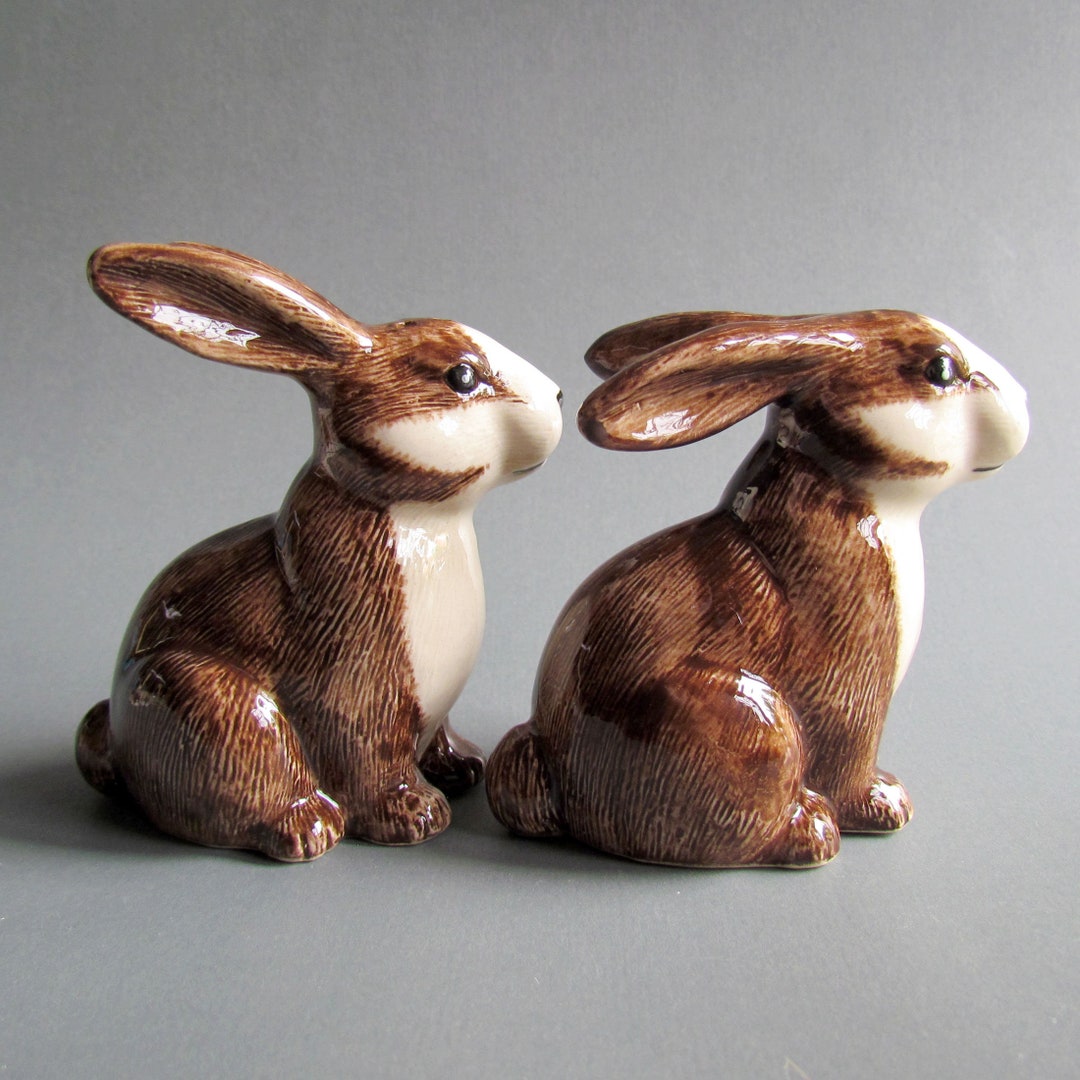 Salt and Pepper Shakers Rabbits Bunnies Salt & Pepper Set Animal Theme ...