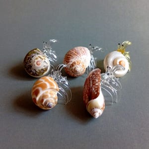 Tiny Miniature Sea Shell Seashell Hermit Crab Beach Animals Blown Glass ...