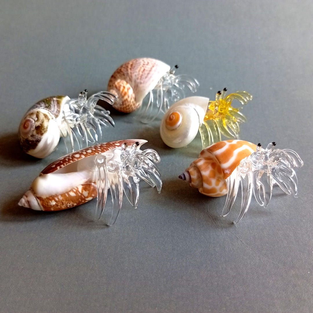 Tiny Miniature Sea Shell Seashell Hermit Crab Beach Animals Blown Glass ...