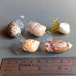Tiny Miniature Sea Shell Seashell Hermit Crab Beach Animals Blown Glass ...