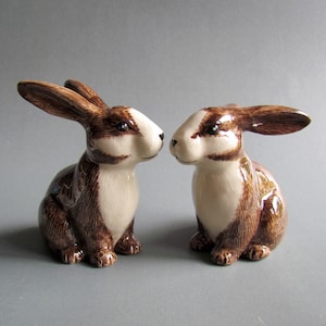 Salt and Pepper Shakers Rabbits Bunnies Salt & Pepper Set Animal Theme ...