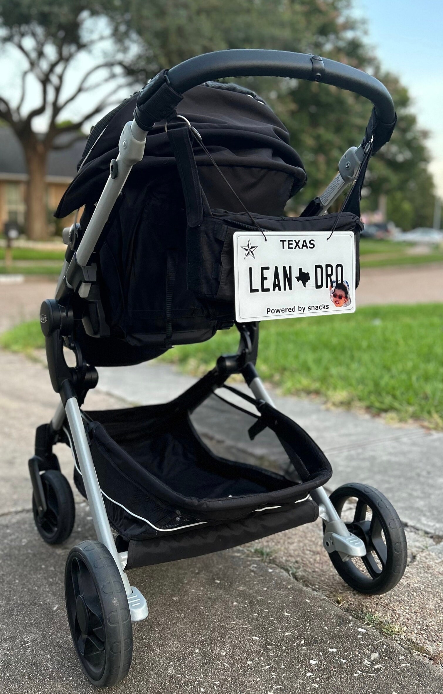 Baby License Plate for Stroller | Texas Baby License Plate | - Etsy