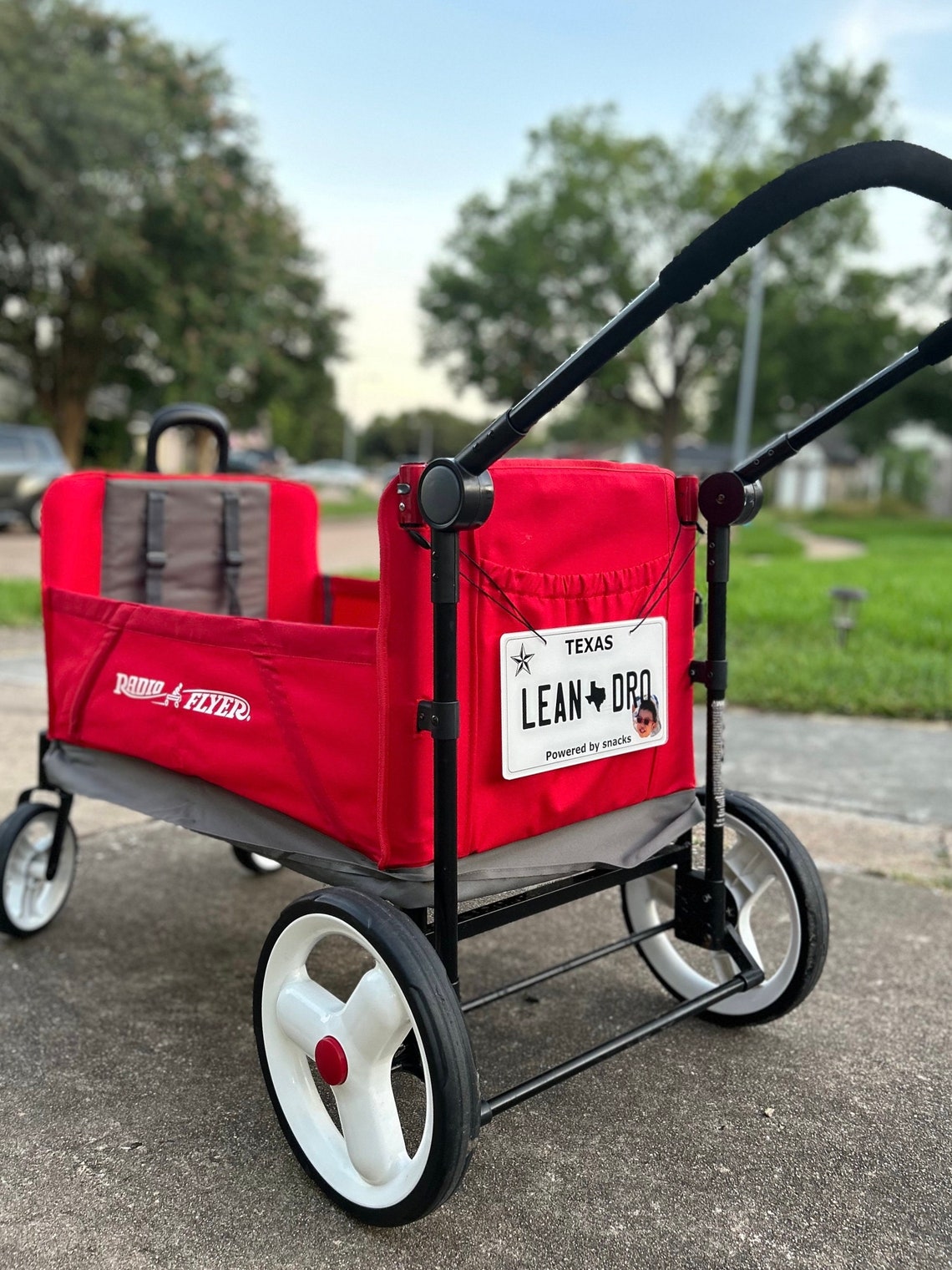 Baby License Plate for Stroller | Texas Baby License Plate | - Etsy