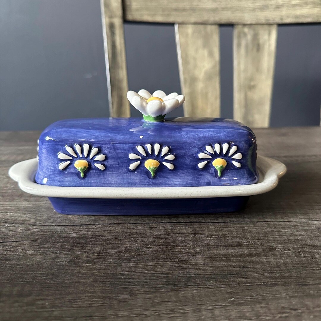 Vintage Oneida Blue Spring White Daisy Covered Butter Dish – 1/4 Lb ...