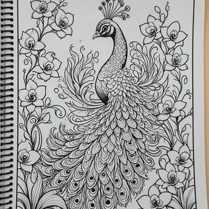 Magical Whispers a Coloring Book, Magic Themed Coloring, Stress Relief ...